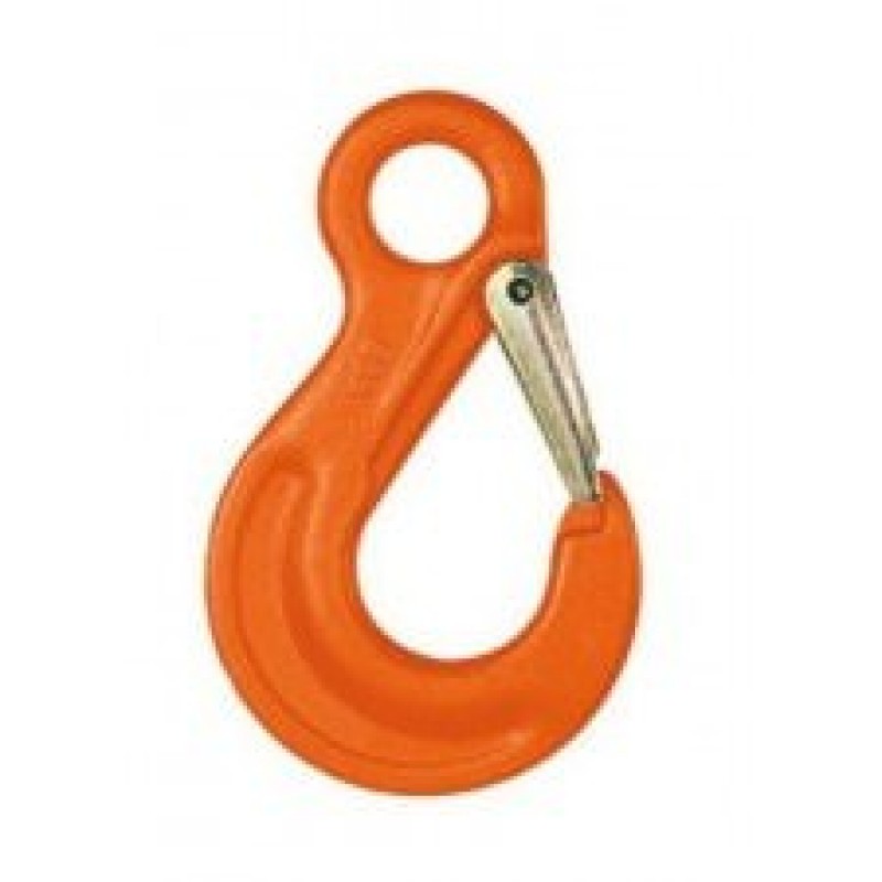 Lifting Gear Equipment | Eye Swivel Safety Hooks With Catch